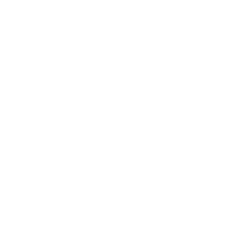 Father Edward Sorin, C.S.C. | Congregation of Holy Cross